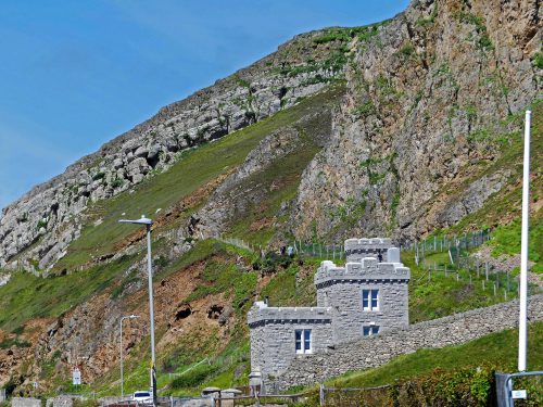 Butterflies of the Great Orme | everyday nature trails